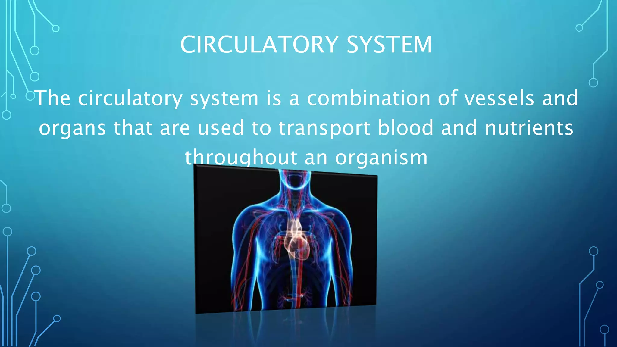 Open and close circulatory systems and examples | PPTX