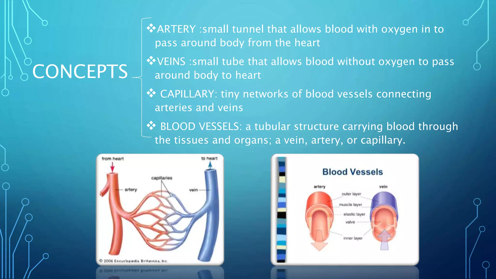 Open and close circulatory systems and examples | PPTX