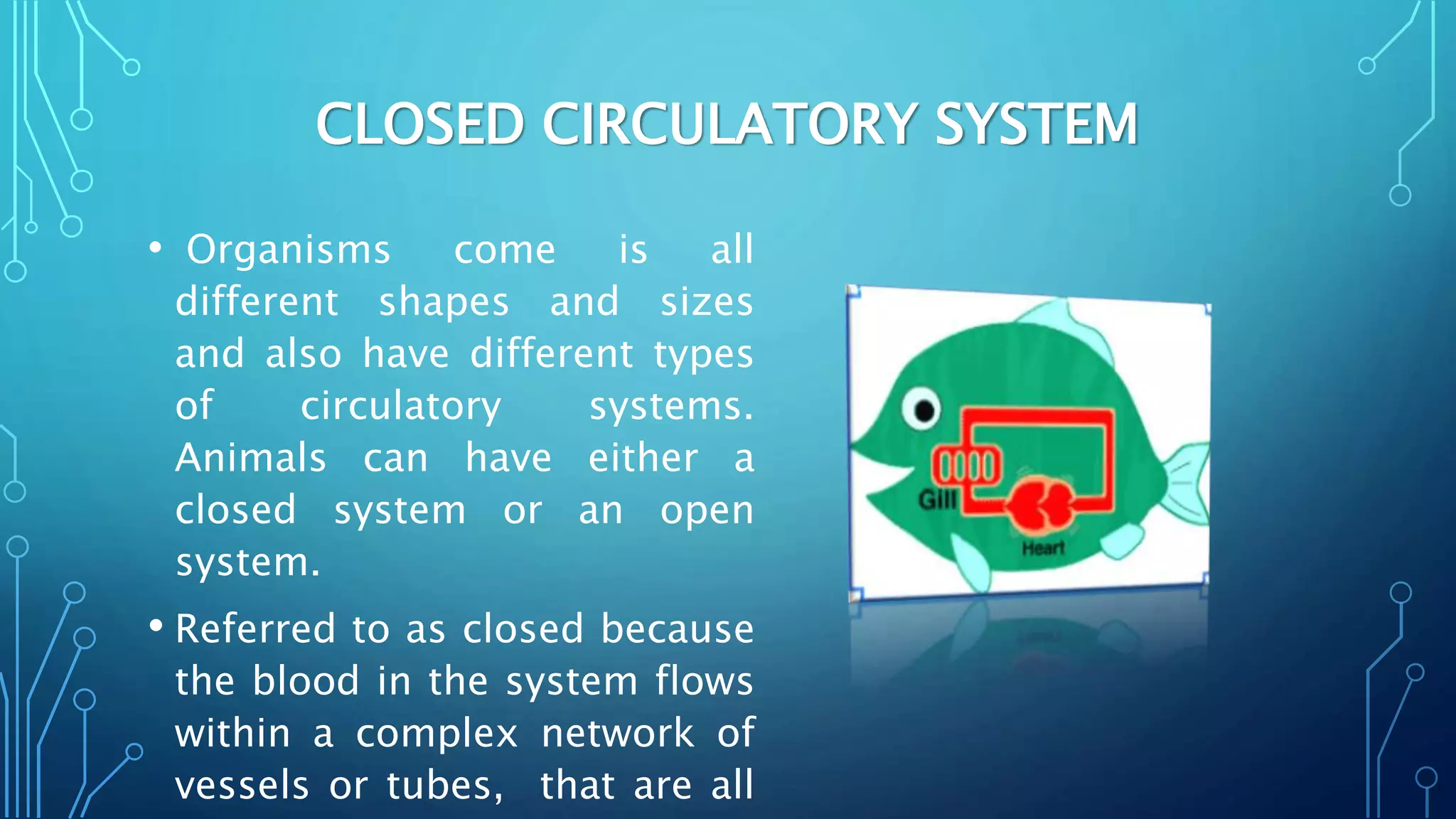 Open and close circulatory systems and examples | PPTX
