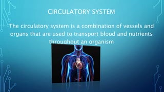 Open and close circulatory systems and examples | PPTX