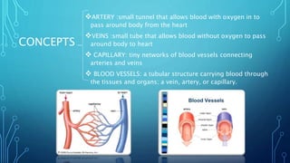 Open and close circulatory systems and examples | PPTX