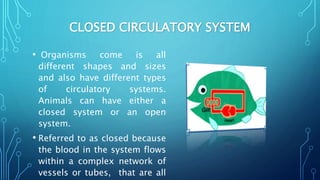 Open and close circulatory systems and examples | PPTX