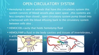 Open and close circulatory systems and examples | PPTX