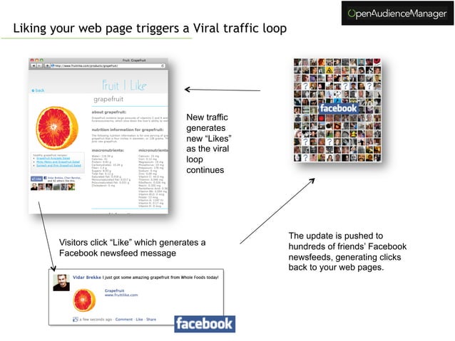 Understanding the Open Graph | PPT