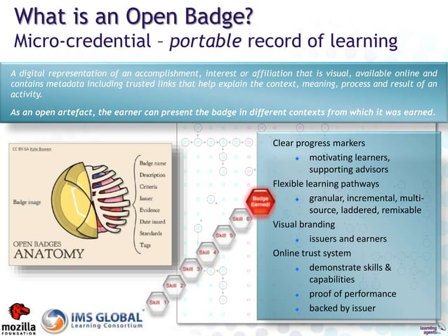 Open Badges for Training and Professional Development
