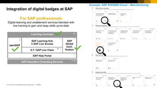 Digital Badges bei SAP | PDF