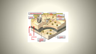 Opencast mining overview | PPTX