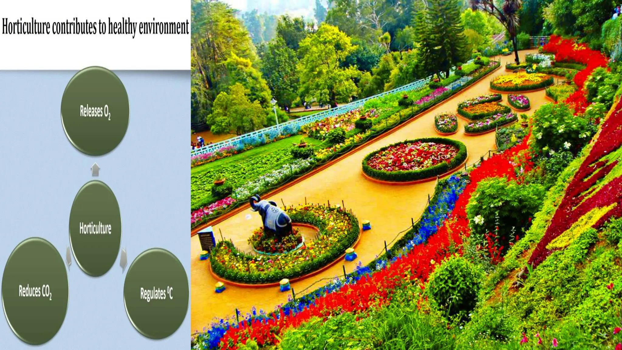 OPEN COURSE-HORT-Unit1-Chap1-.Part2.pptx