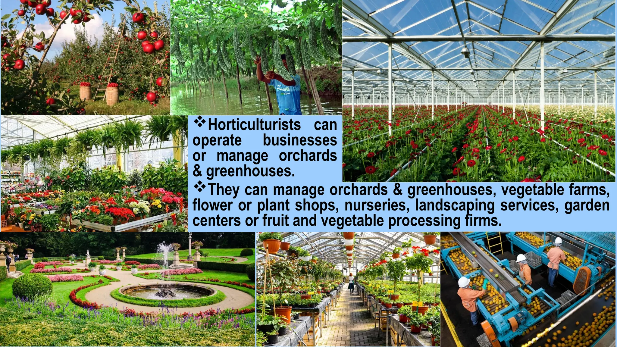 OPEN COURSE-HORT-Unit1-Chap1-.Part2.pptx