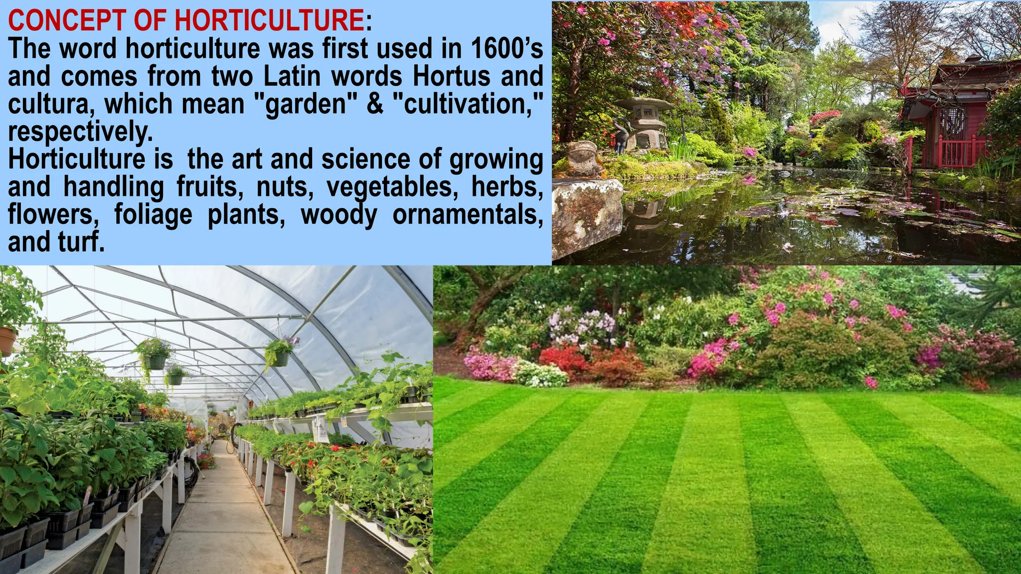 OPEN COURSE-HORT-Unit1-Chap1-.Part2.pptx