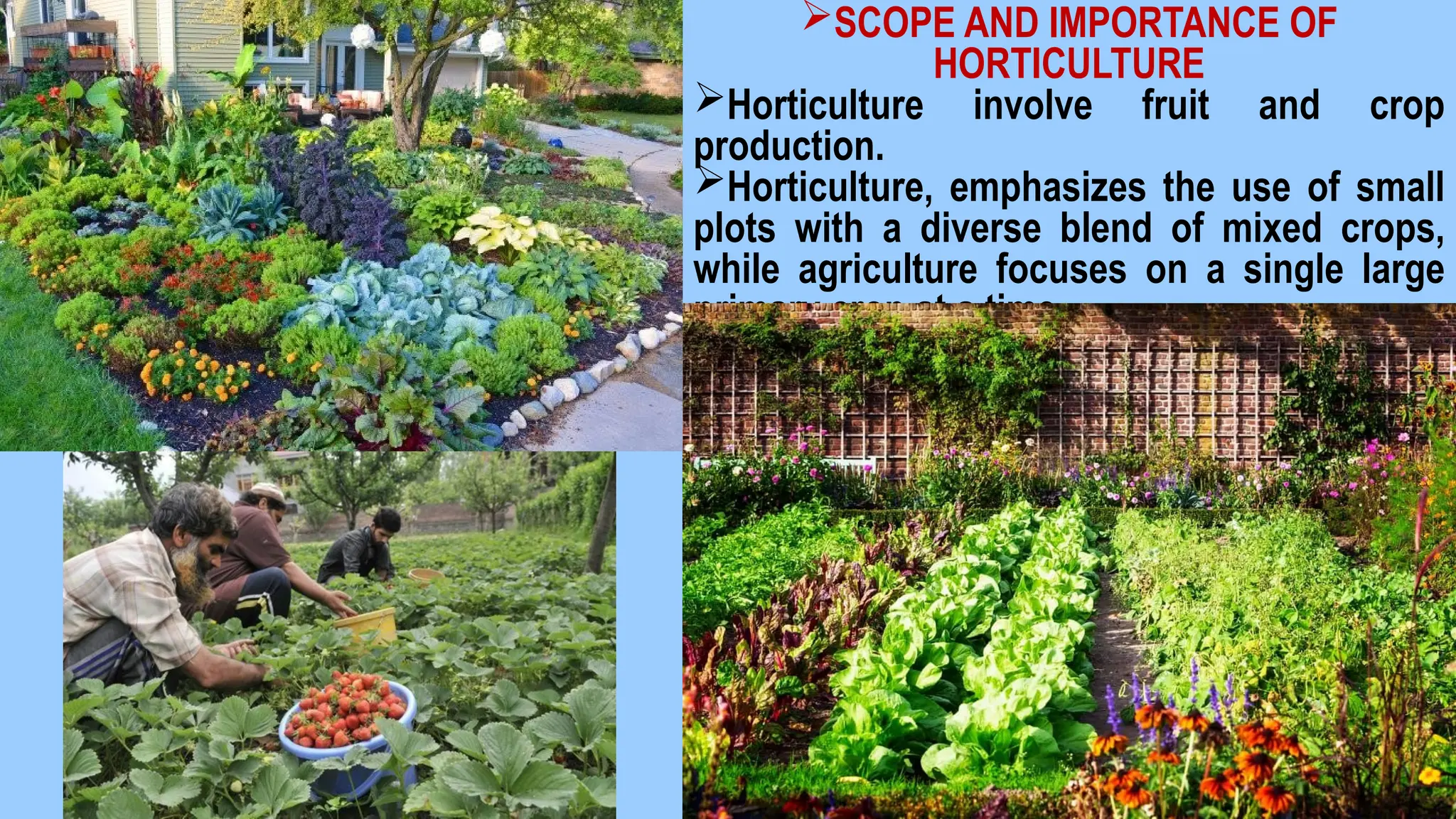 OPEN COURSE-HORT-Unit1-Chap1-.Part2.pptx