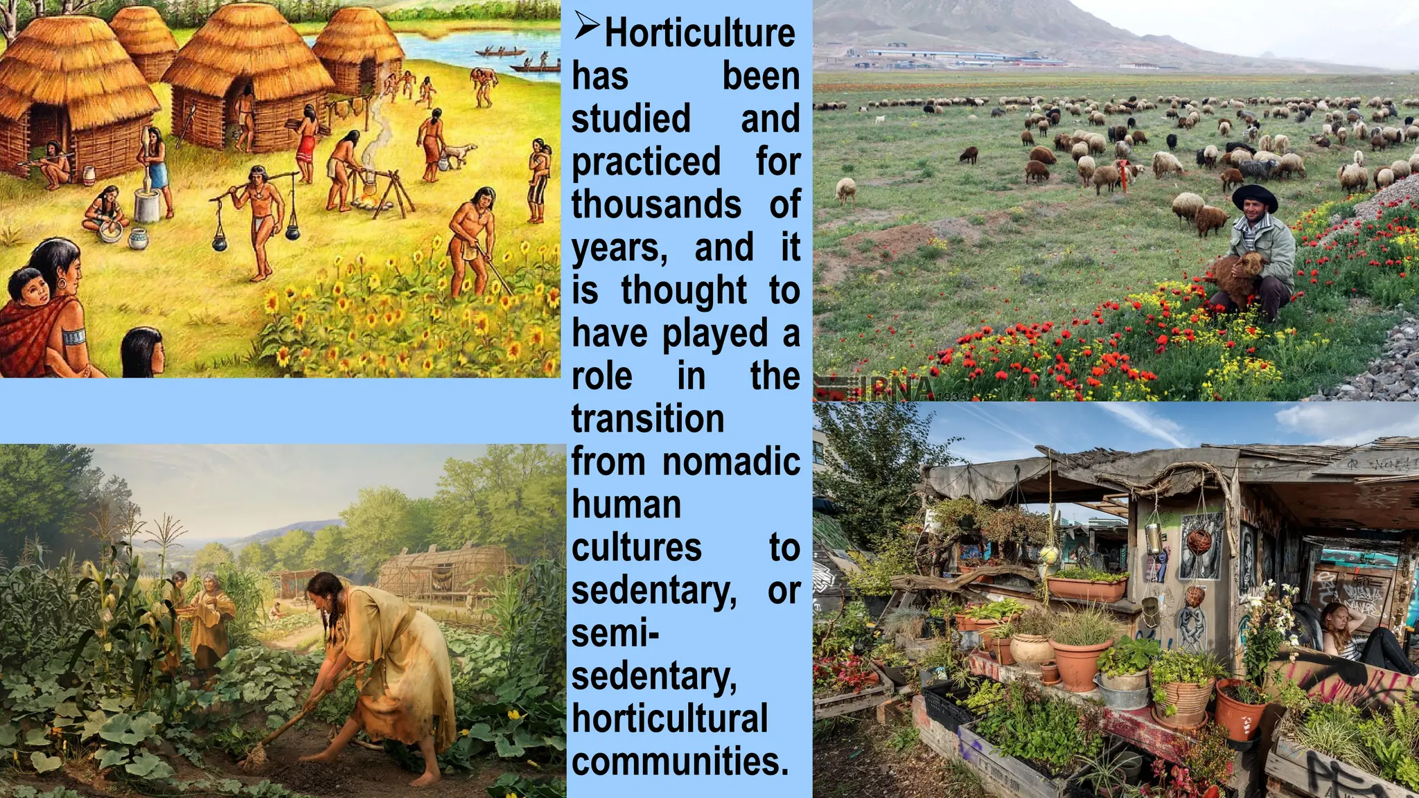 OPEN COURSE-HORT-Unit1-Chap1-.Part2.pptx