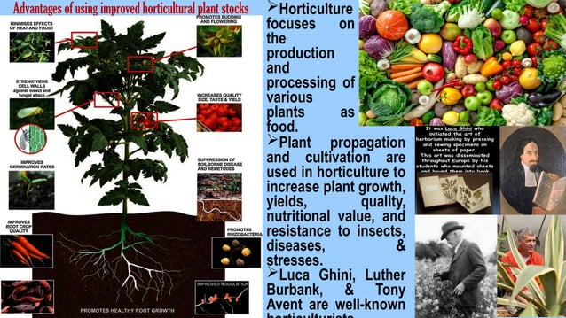 OPEN COURSE-HORT-Unit1-Chap1-.Part2.pptx