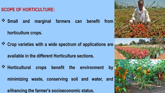 OPEN COURSE-HORT-Unit1-Chap1-.Part2.pptx
