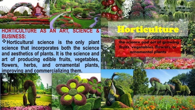 OPEN COURSE-HORT-Unit1-Chap1-.Part2.pptx