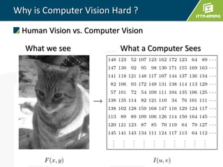 電腦視覺與Open CV 影像處理簡介 | PDF