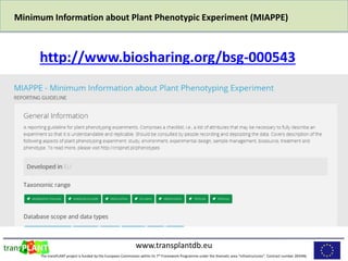 Towards standardization of plant phenotypic data_Krajewski | PPT