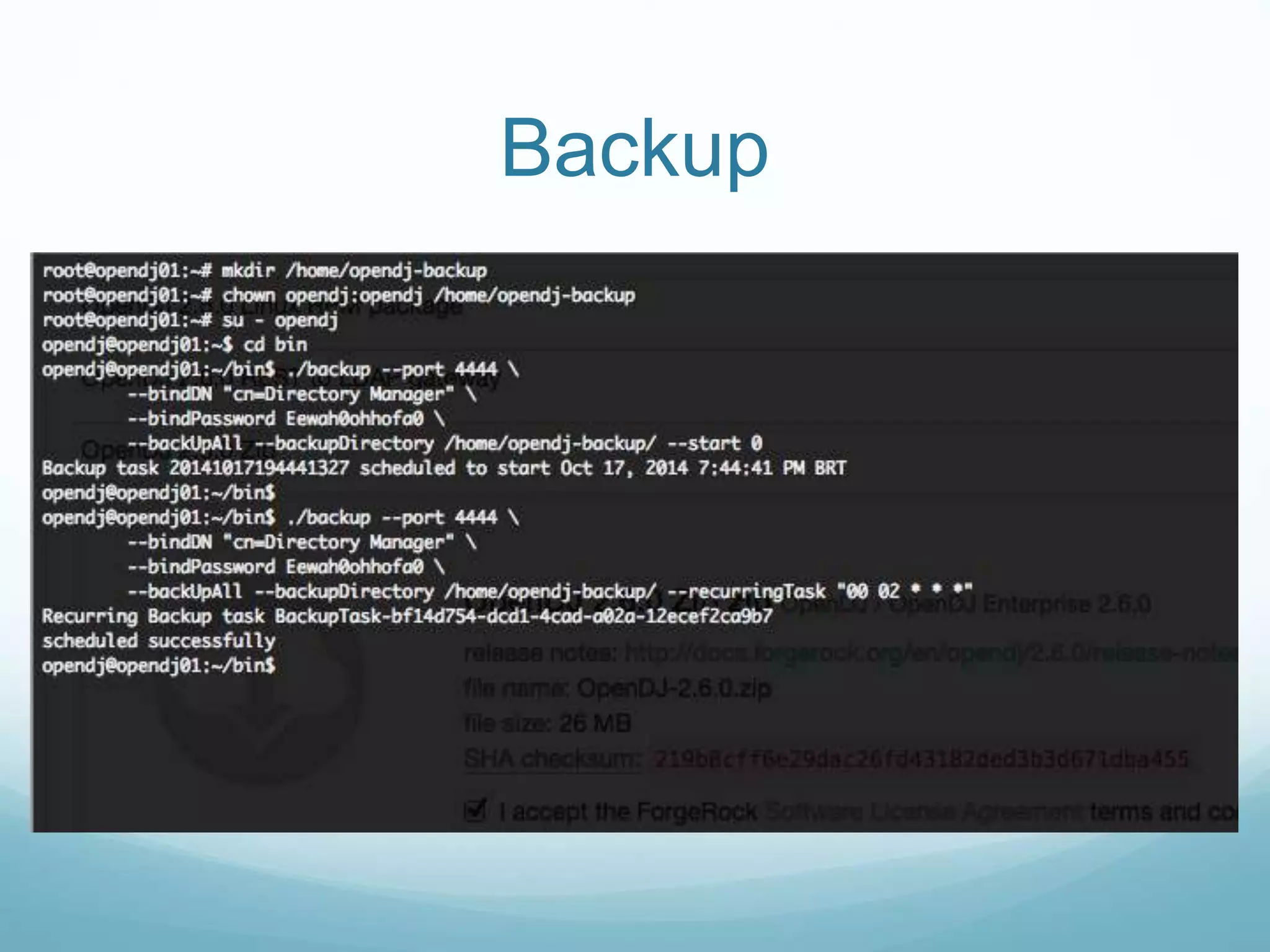 Opendj - A LDAP Server for dummies | PPTX