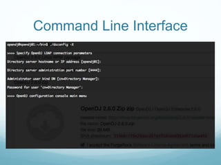 Opendj - A LDAP Server for dummies | PPTX