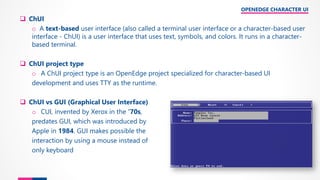 OpenEdge Character UI - Where to go? | PDF | Operating Systems ...