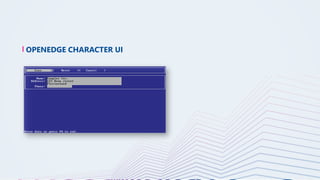 OpenEdge Character UI - Where to go? | PDF | Operating Systems | Computer Software and Applications