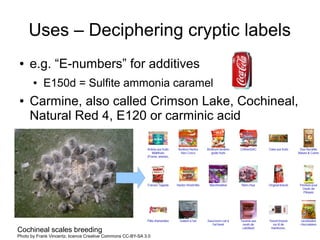 Open Food Facts - Computer Cooking Contest 2012 | PPT