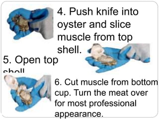 Opening an oyster,clams, and squid | PPT