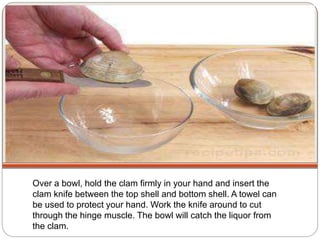 Opening an oyster,clams, and squid | PPT | Free Download