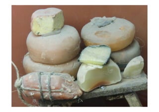 Informed Cities Forum 2011 Opening Cristina Garzillo | PDF