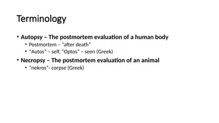 Opening of body‐----------(Autopsy).pptx