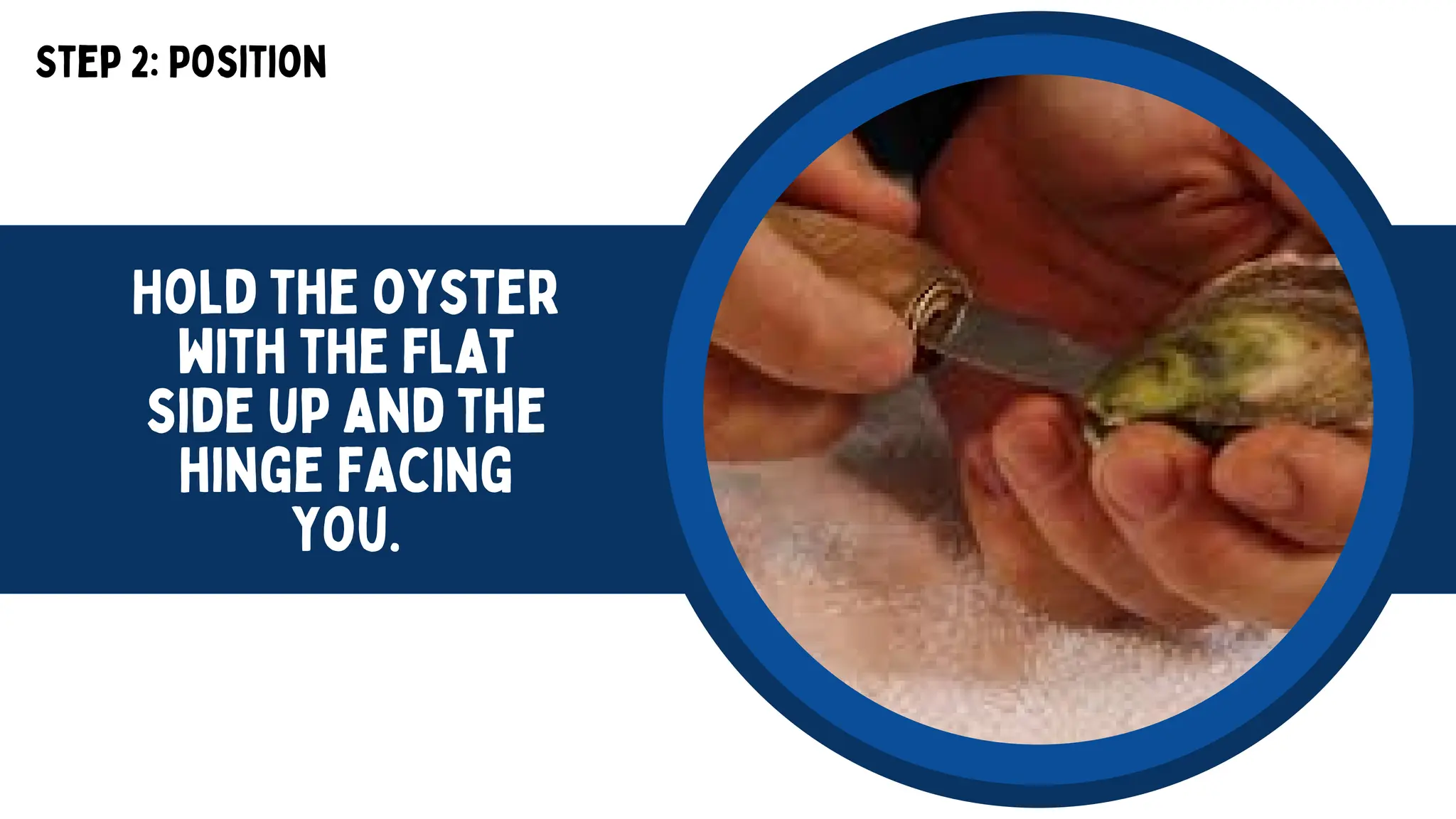 opening oysters for Grade 10 TLE Cookery Students | PDF