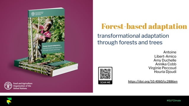 Forest-based adaptation | PPT