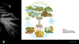 Forest-based adaptation | PPT