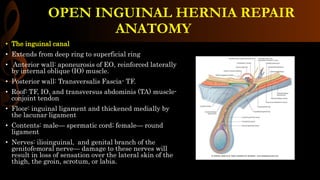 Open inguinal hernia repair / operative surgery | PPTX