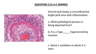 Open mediquiz with answers | PPTX