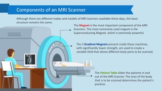 The Making of an MRI | PDF
