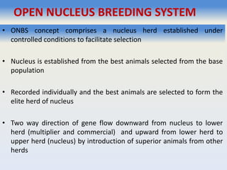 Nucleus breeding system | PPTX