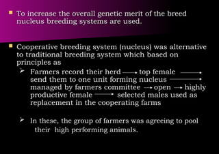 Open Nucleus Breeding System in Dairy Animals.ppt
