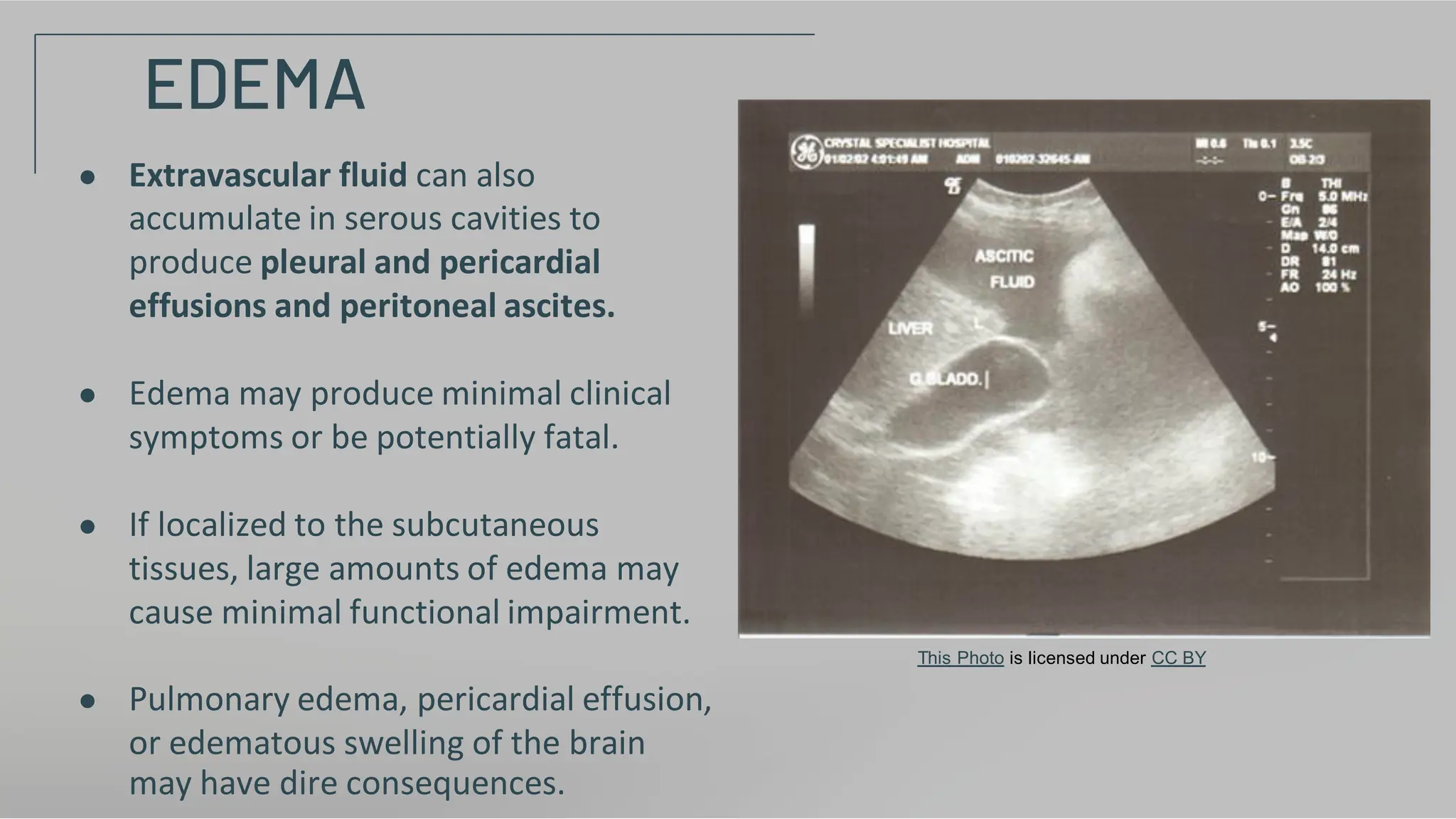 INTRODUCTION TO RADIATION PATHOLOGY BSRT 3B | PDF