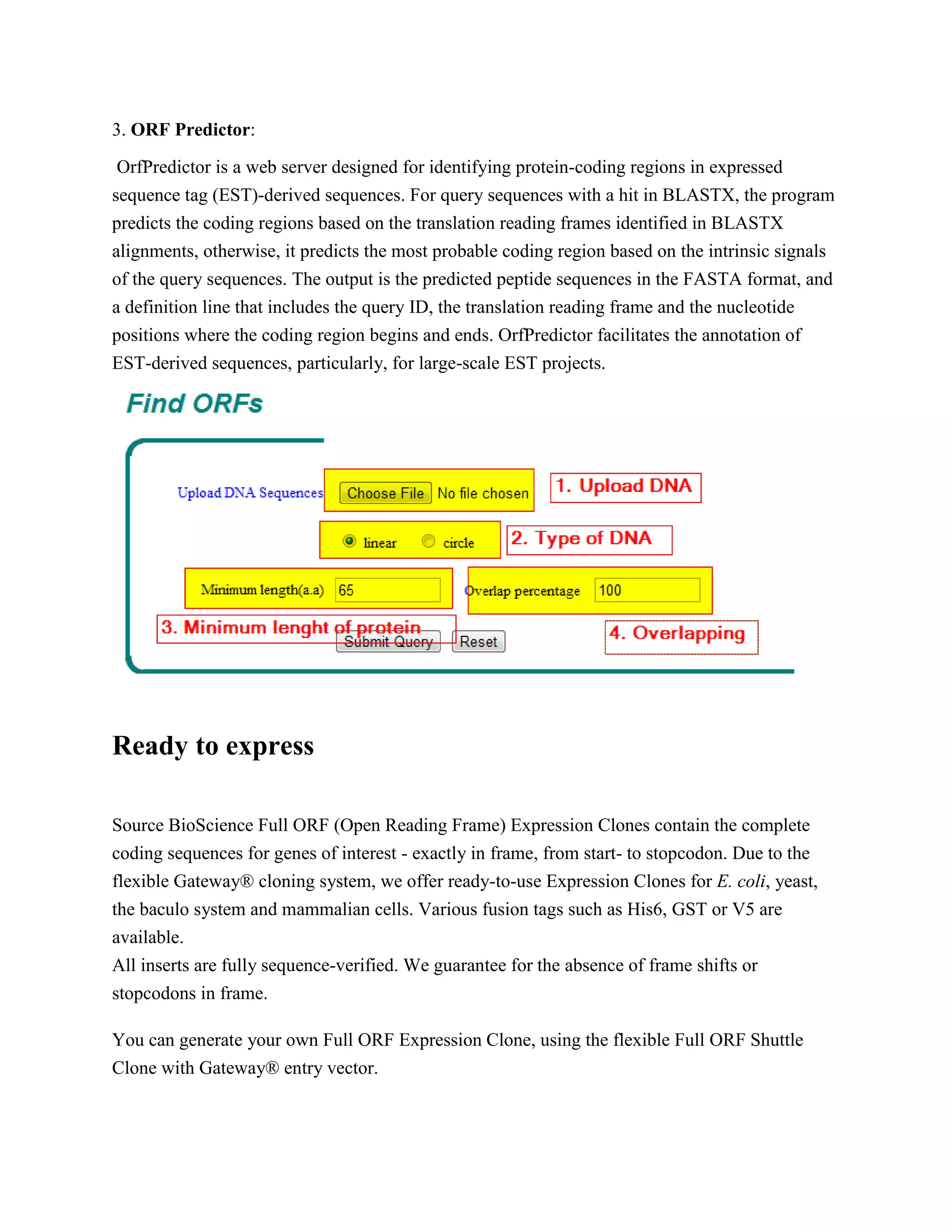 Open Reading Frames | DOCX