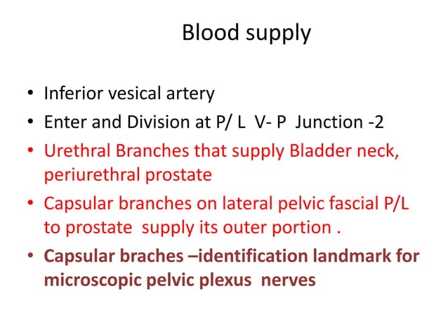 Open Retropubic Prostatectomy | PPTX