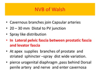 Open Retropubic Prostatectomy | PPTX