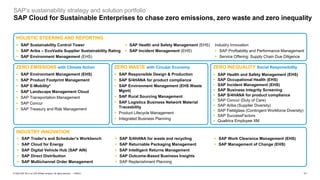 SAP Strategy on Sustainability and AI | PDF