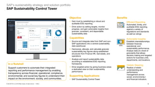SAP Strategy on Sustainability and AI | PDF