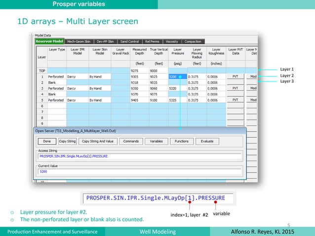 OpenServer variables explained | PDF