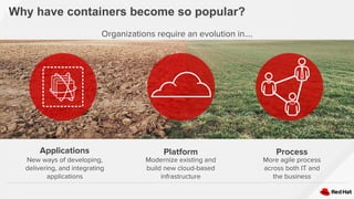 8 - OpenShift - A look at a container platform: what's in the box | PPT