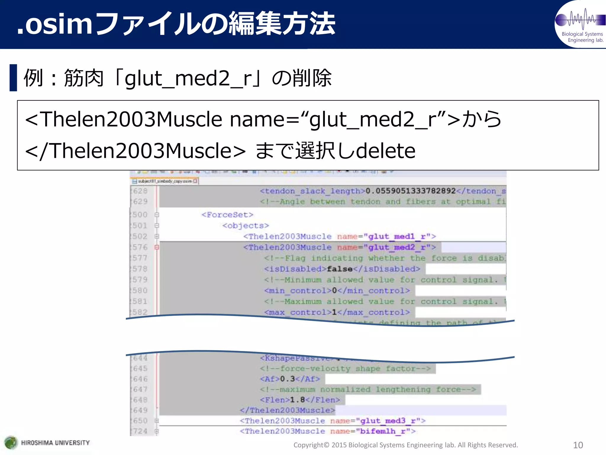 OpenSim の 使い方 （筋骨格モデル編集 編） | PPTX
