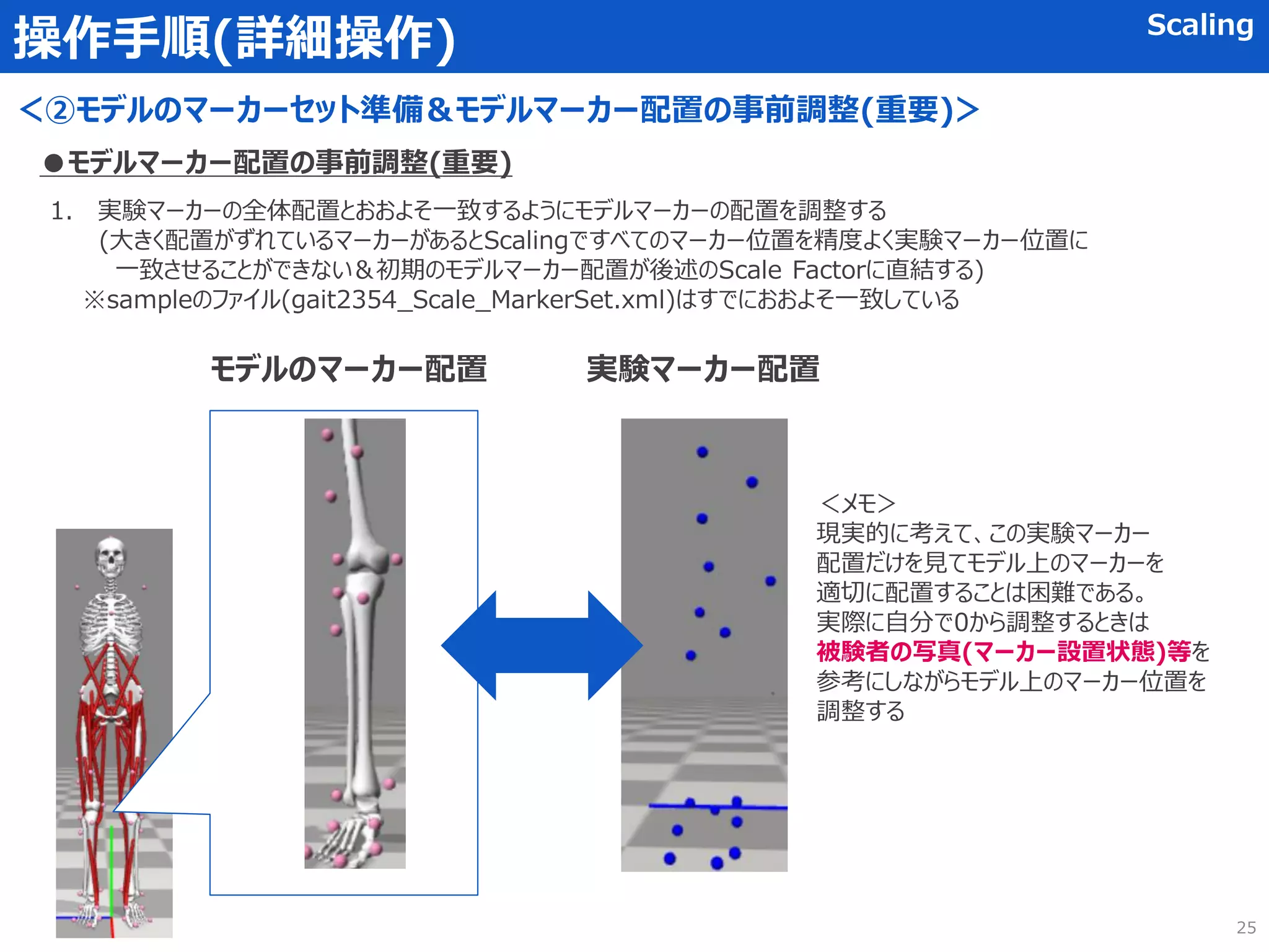 OpenSIM 筋骨格シミュレーション 基本の解析マニュアル | PDF