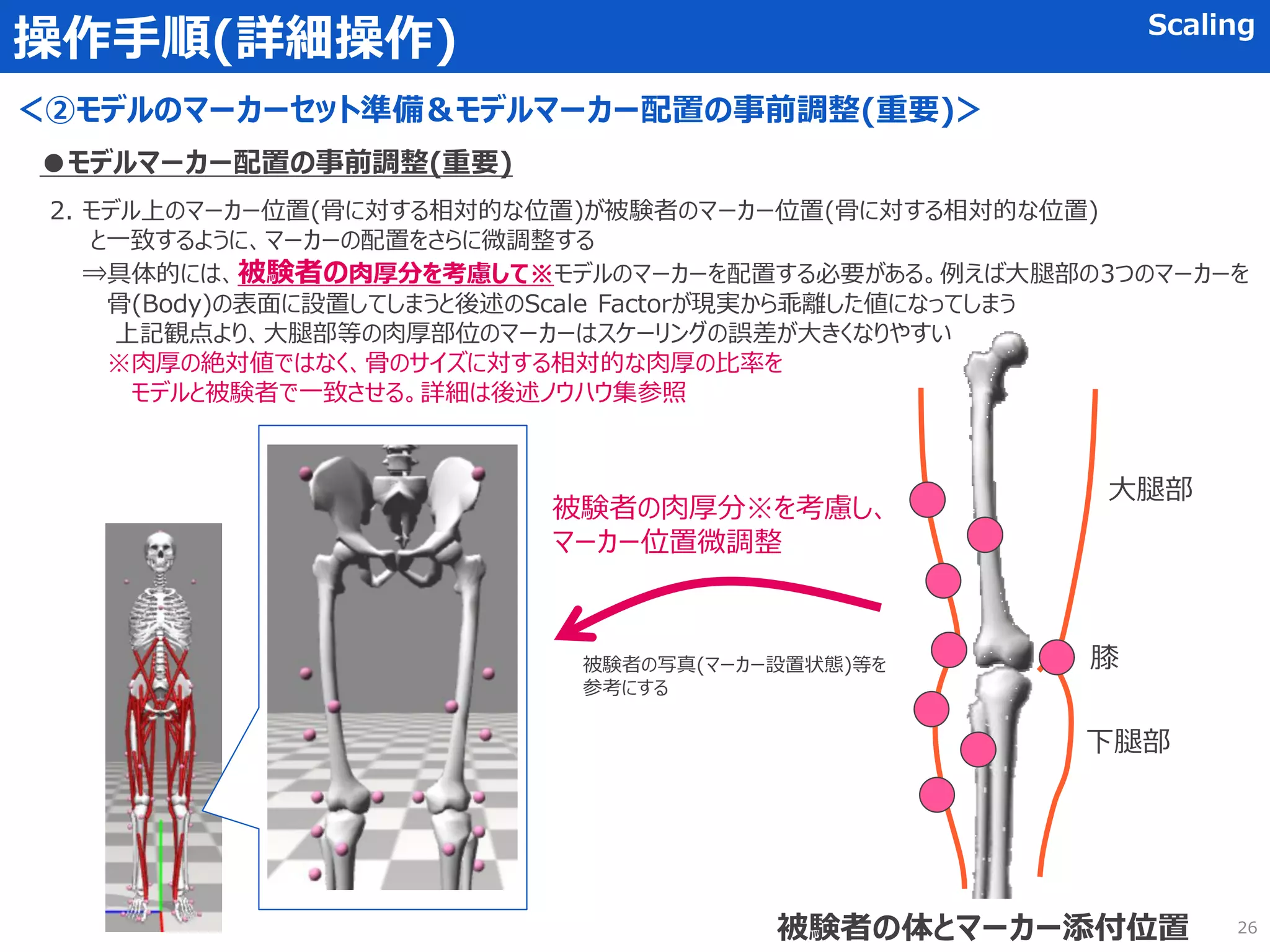 OpenSIM 筋骨格シミュレーション 基本の解析マニュアル | PDF
