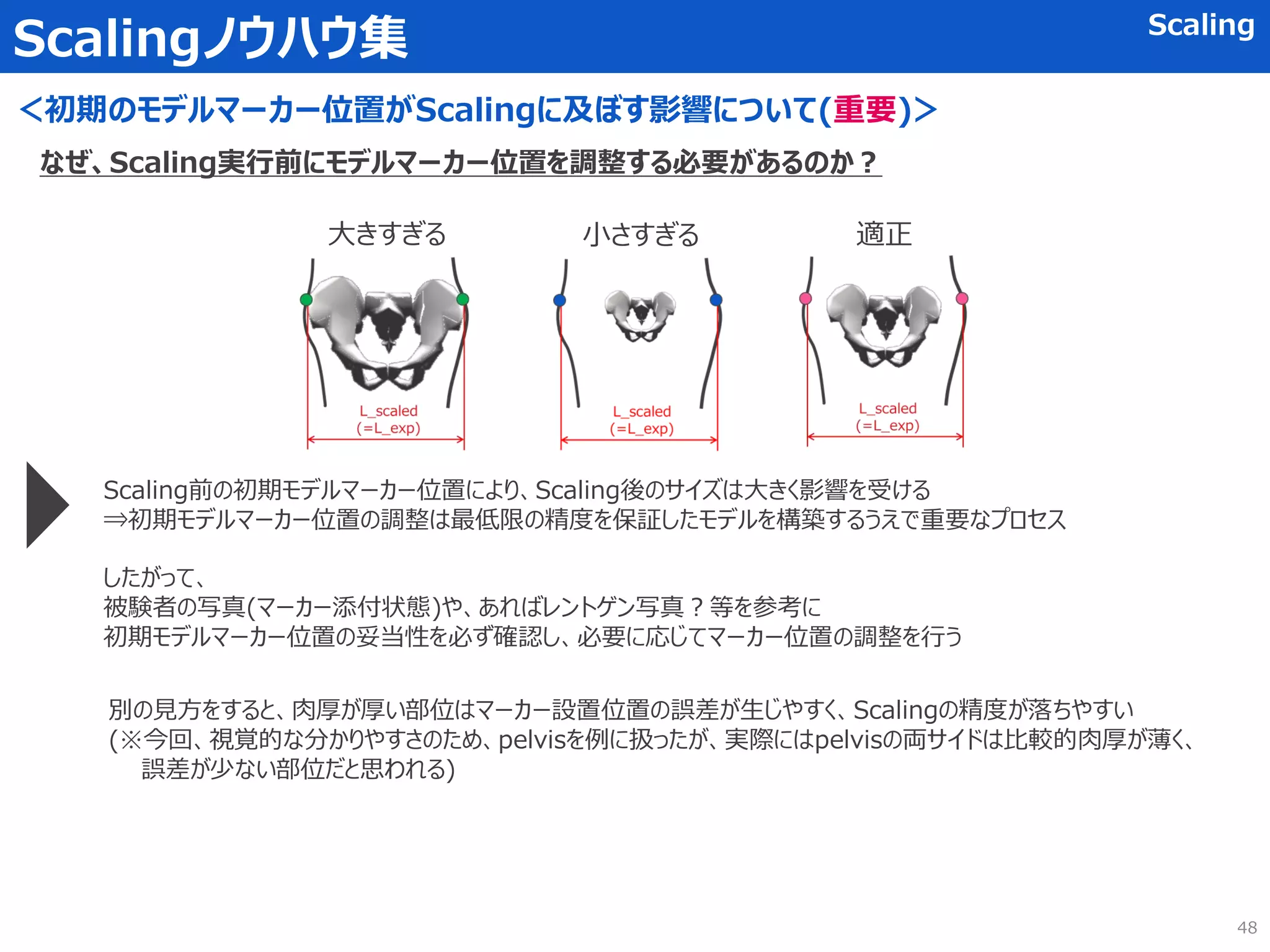 OpenSIM 筋骨格シミュレーション 基本の解析マニュアル | PDF